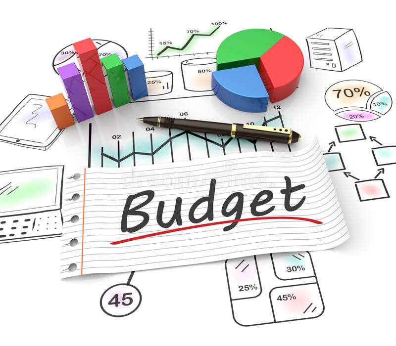 Chemung Township - Budget & Appropriation
