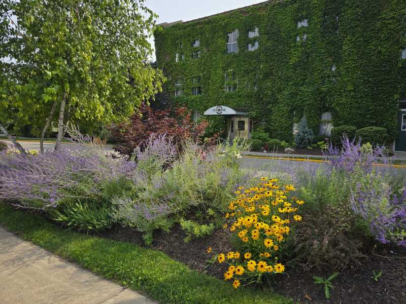 Chemung Township - Home