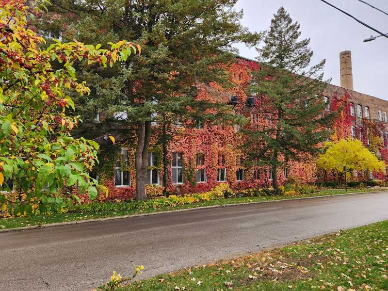 Chemung Township - Home